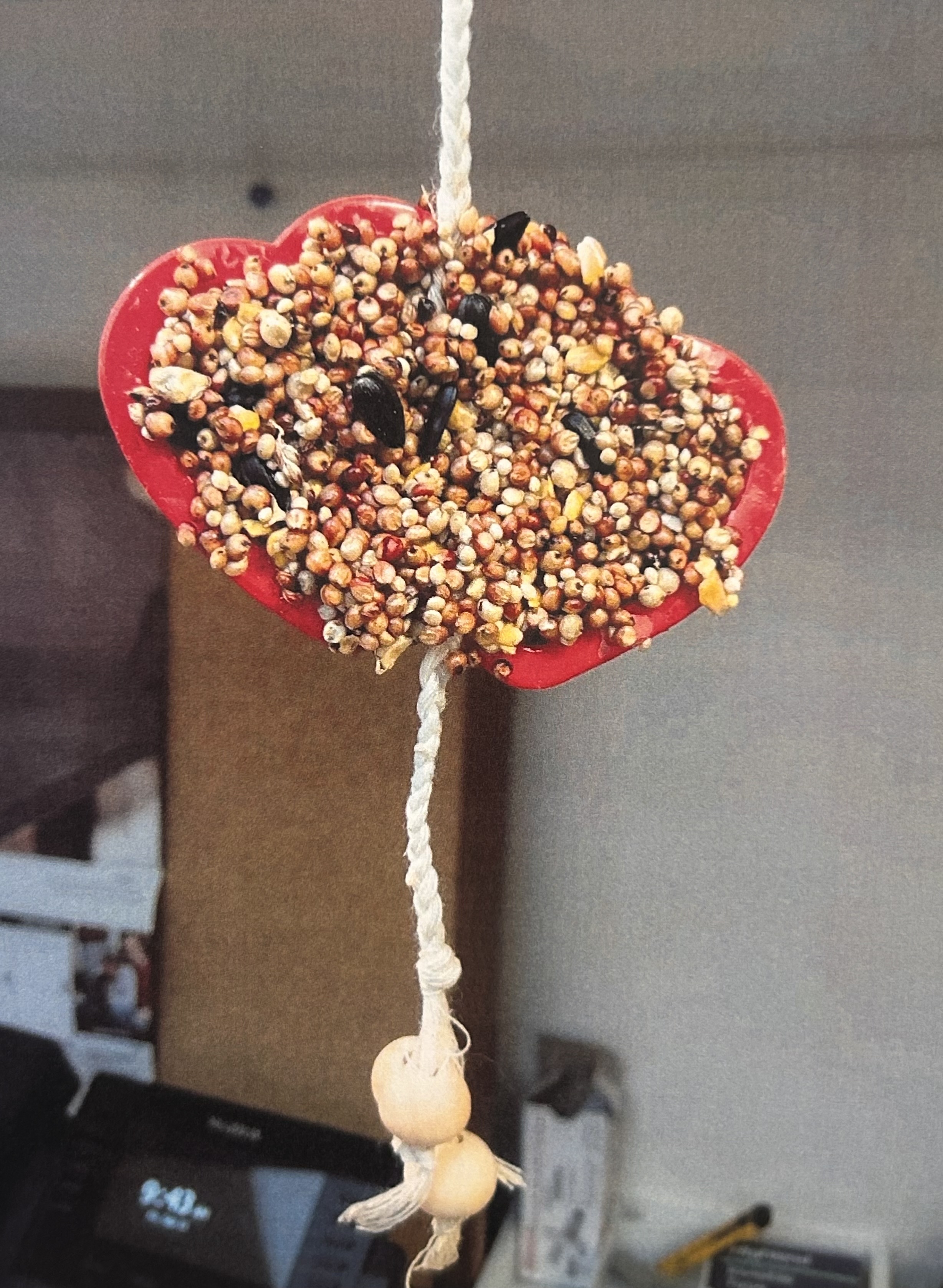 Teen & Adult Take and Make | Sandy, OR