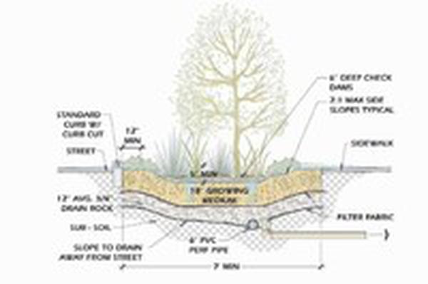 Vegetated Infiltration Basins | Sandy, OR