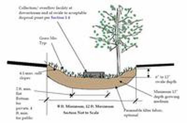 Grassy Swales | Sandy, OR