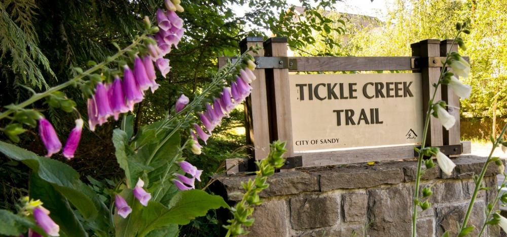Tickle Creek Park & Trail | Sandy, OR