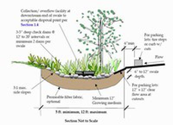 Vegetated Swale Specifications | Sandy, OR